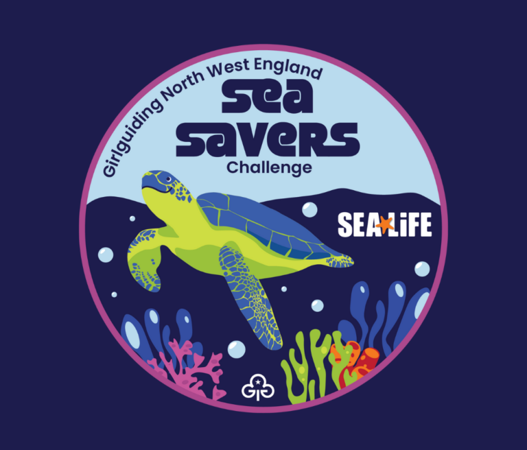 Challenge Resources & Challenge Packs | Girlguiding North West England